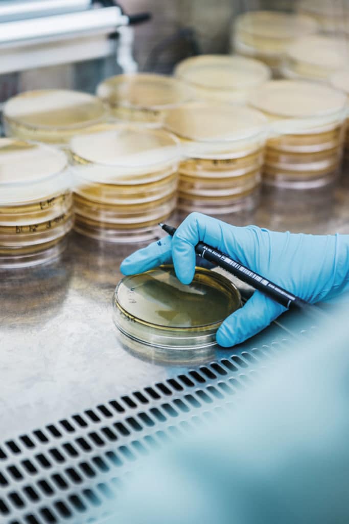 Microbiological analysis of foods | AINIA