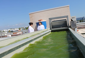 Bioproductos a partir de la valorización de lodos de EDAR- AINIA