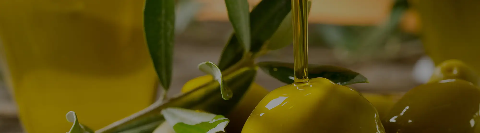 Olive oil control systems in the EU